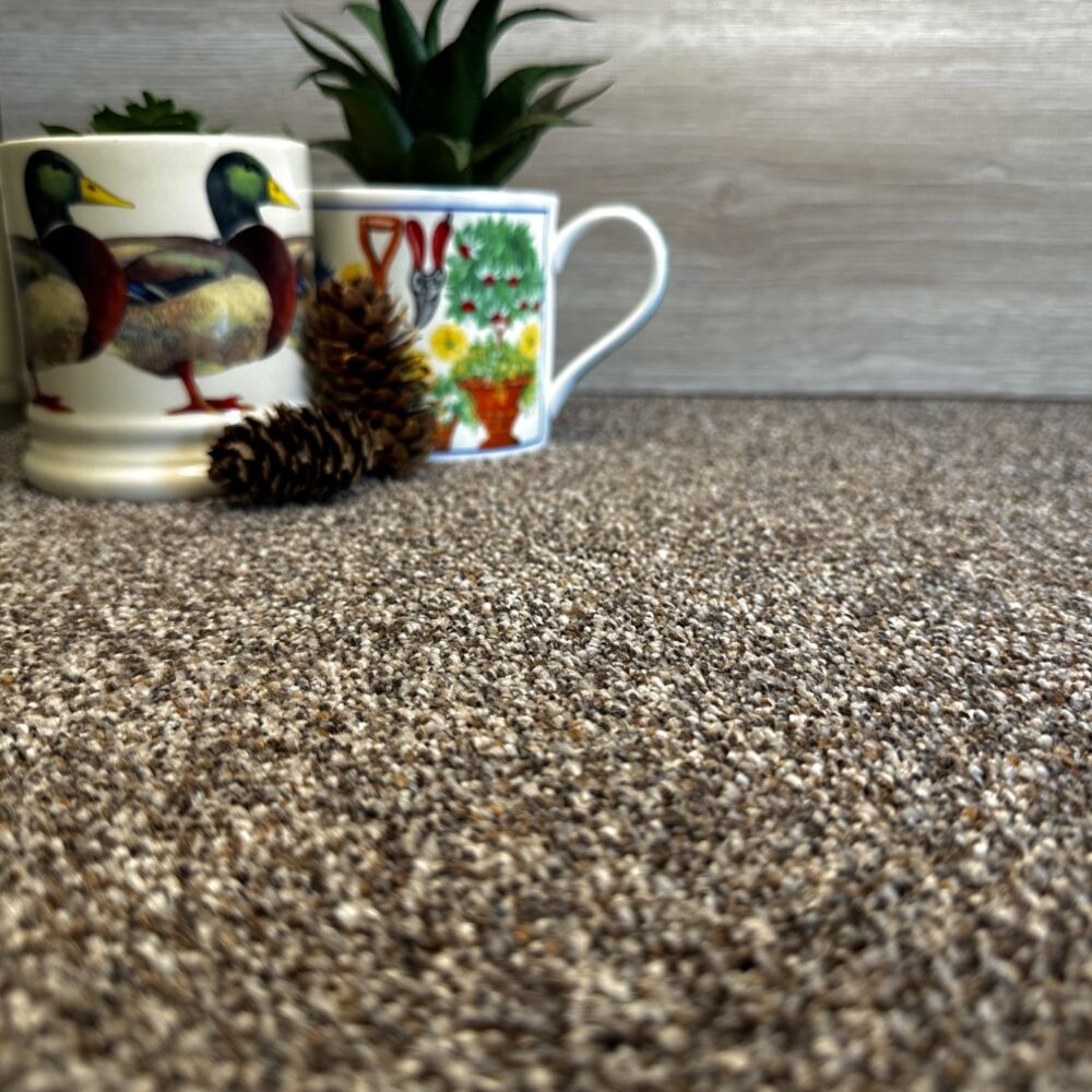 New Shepherd Chocolate Box 4m – Calverts Carpets